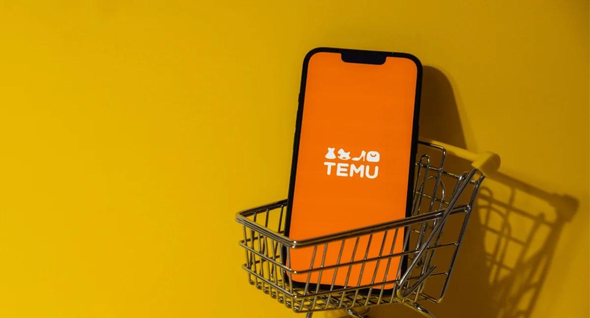 Temu进军美国杂货市场：背景、策略与未来展望 - ingstart-全球公司成立与合规